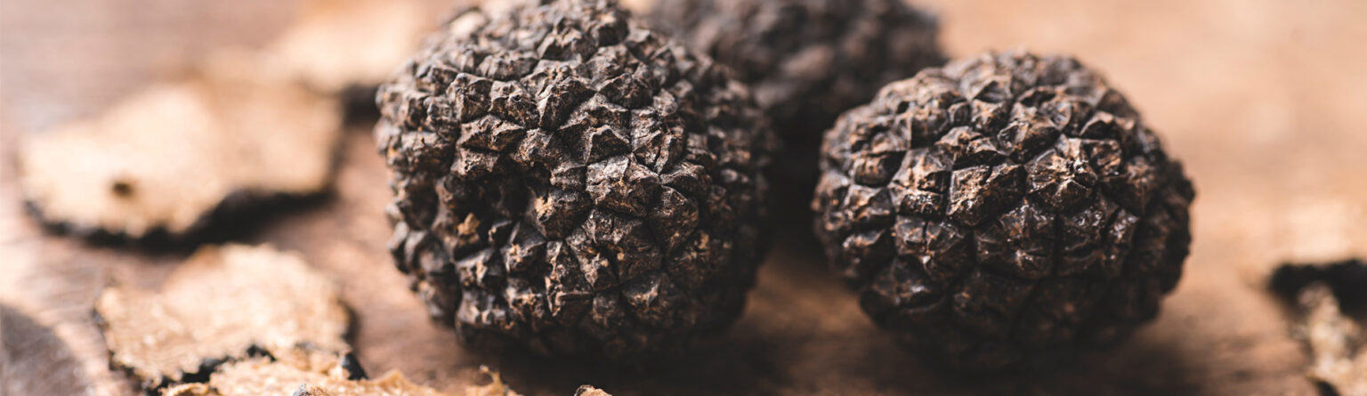 Black Truffle Thursday Night Buffet at Ventisi - Thai-Norwegian Chamber ...